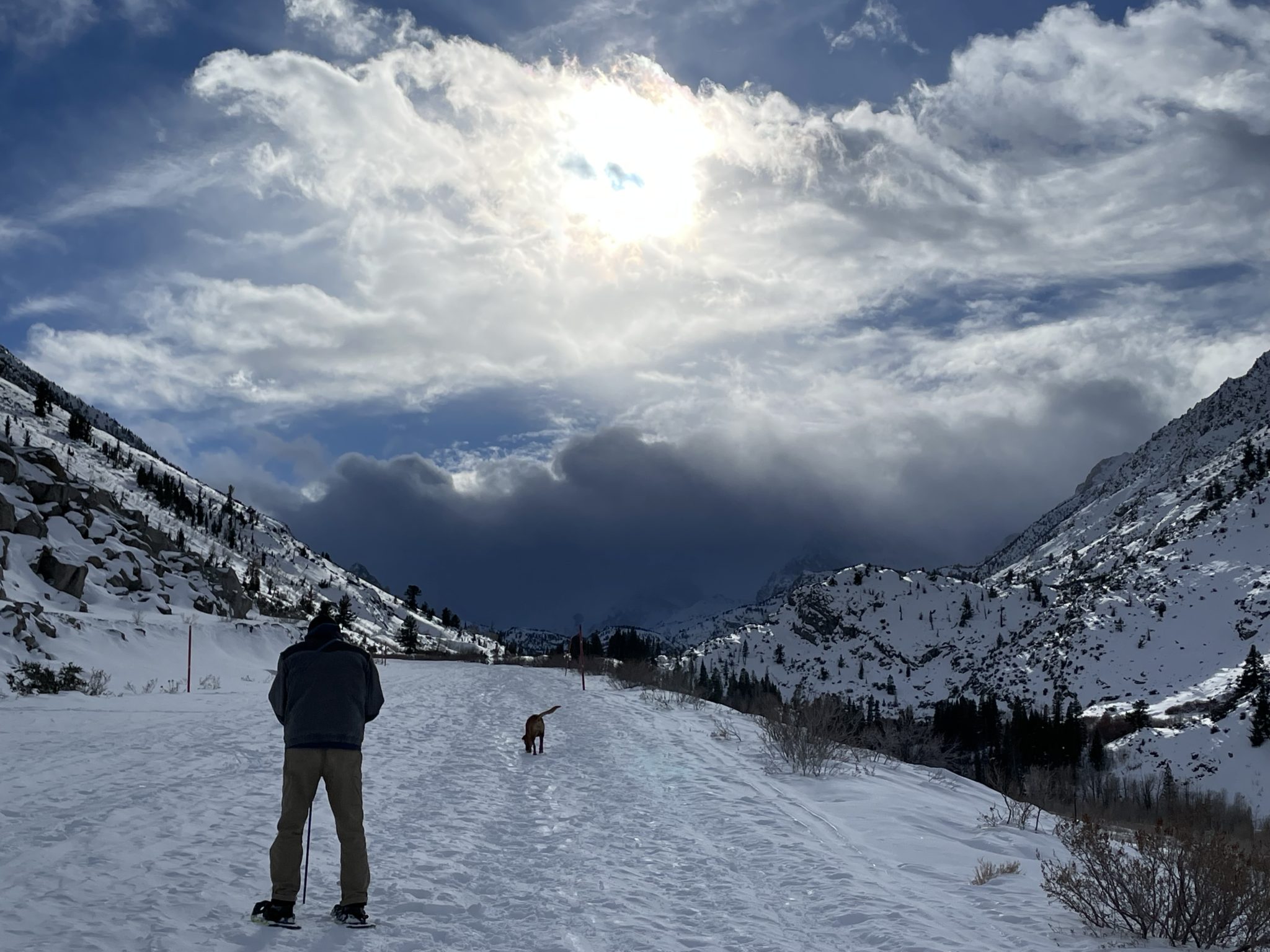 How to Keep Warm During a Snow StormWhite Bean, Kale and Parmesan Stew ...